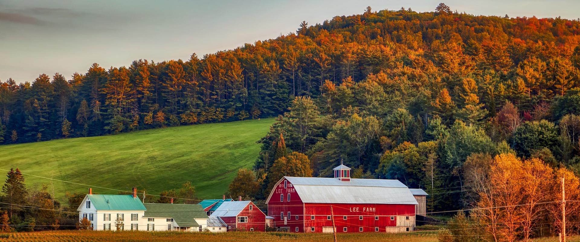 Creative Wealth Management And Financial Planning Strategies